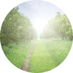 Mehadrin – Mehadrin is a leading Global Grower of Citrus and Avocado