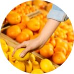 Mehadrin – Mehadrin is a leading Global Grower of Citrus and Avocado